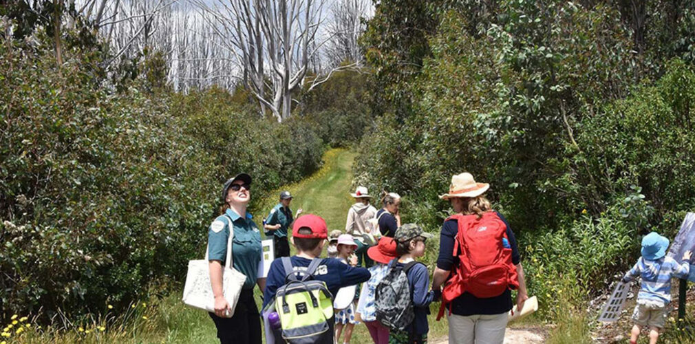 10 Bushwalking Tips for Beginners | Lake Mountain Alpine Resort