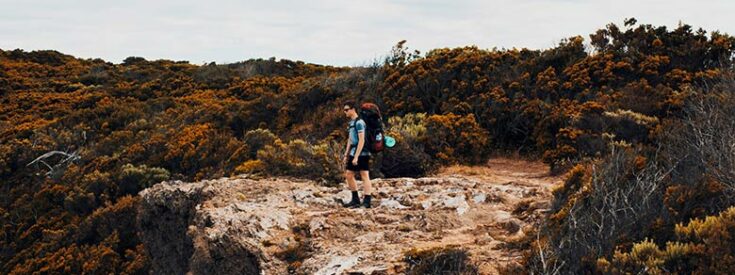 10 Bushwalking Tips for Beginners | Lake Mountain Alpine Resort