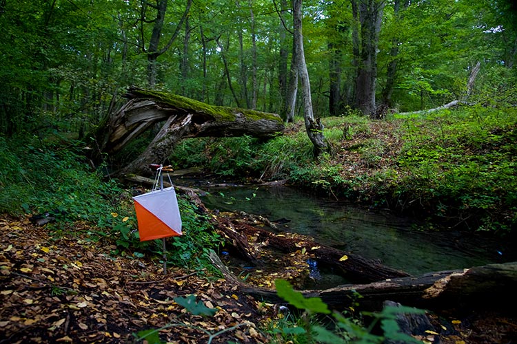 A Beginner's Guide To Orienteering & Rogaining | Lake Mountain